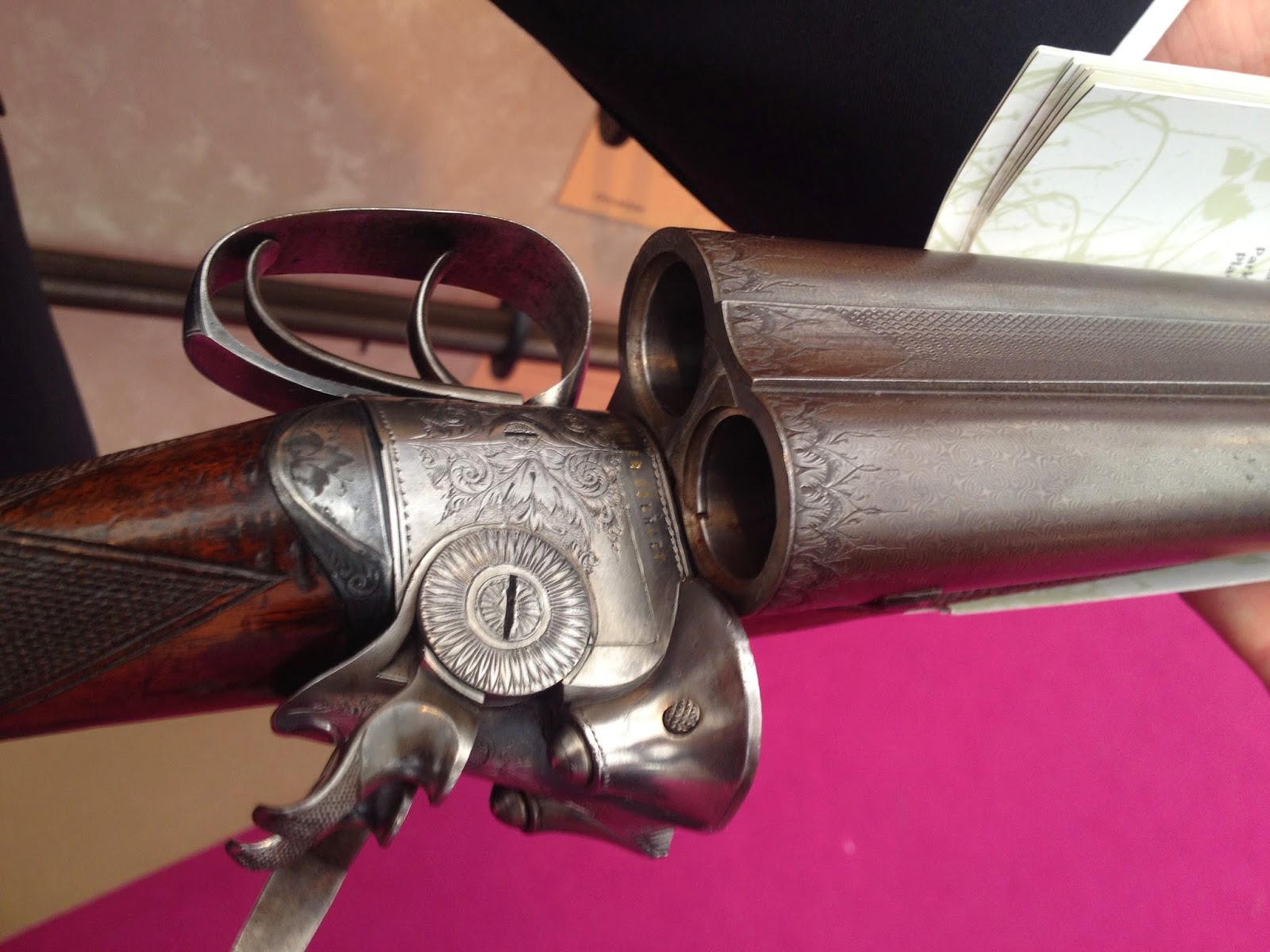 Stephen Bodio's Querencia: Unique action