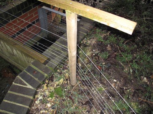 The Otter Watcher: Night time visitors at the fishery