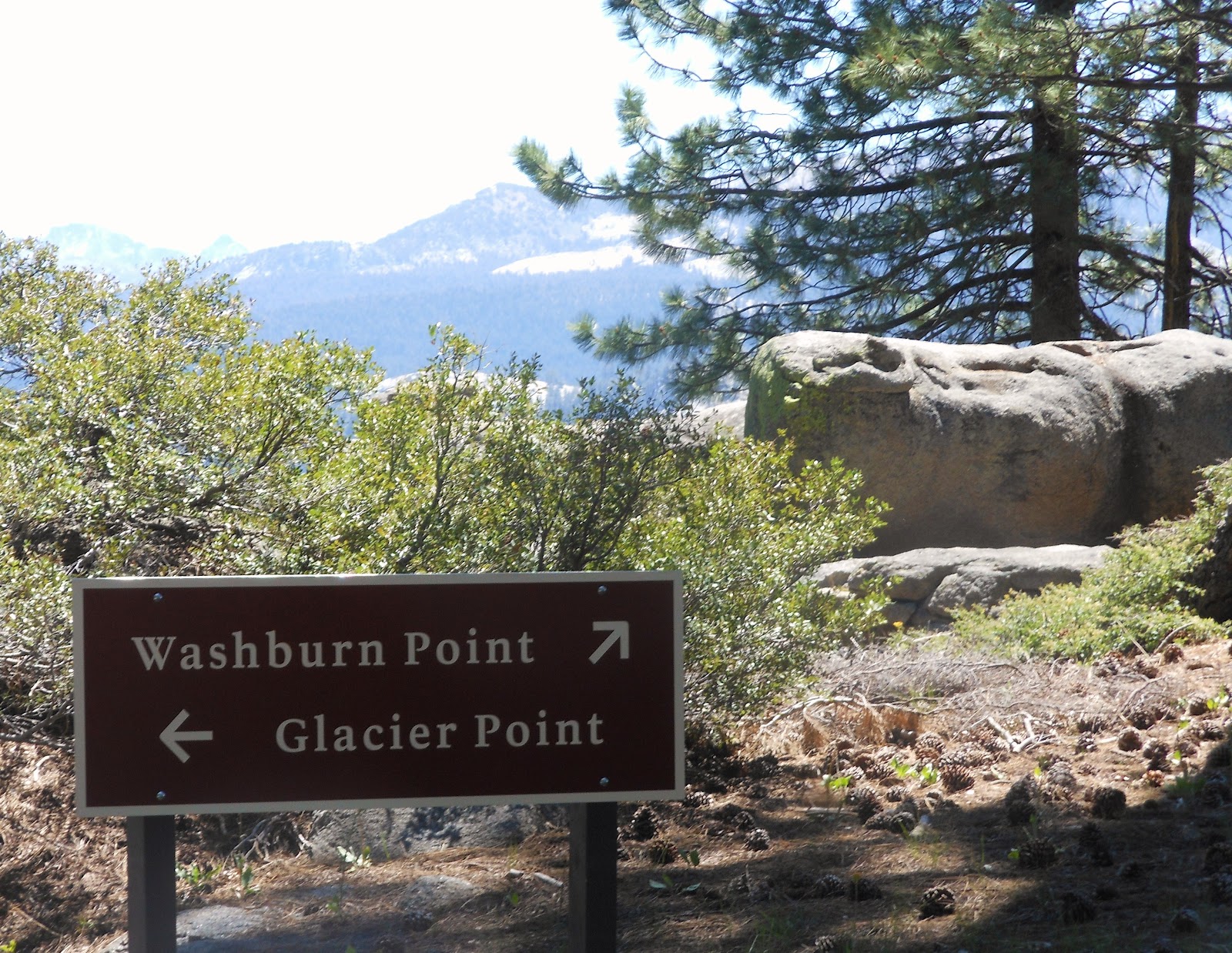 1000 Hikes in 1000 Days: Day 576: Glacier Point - Washburn Point - Half ...
