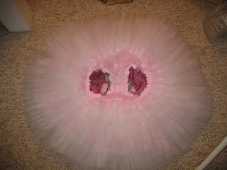 Never a Dull Moment: Icing on the Tutu