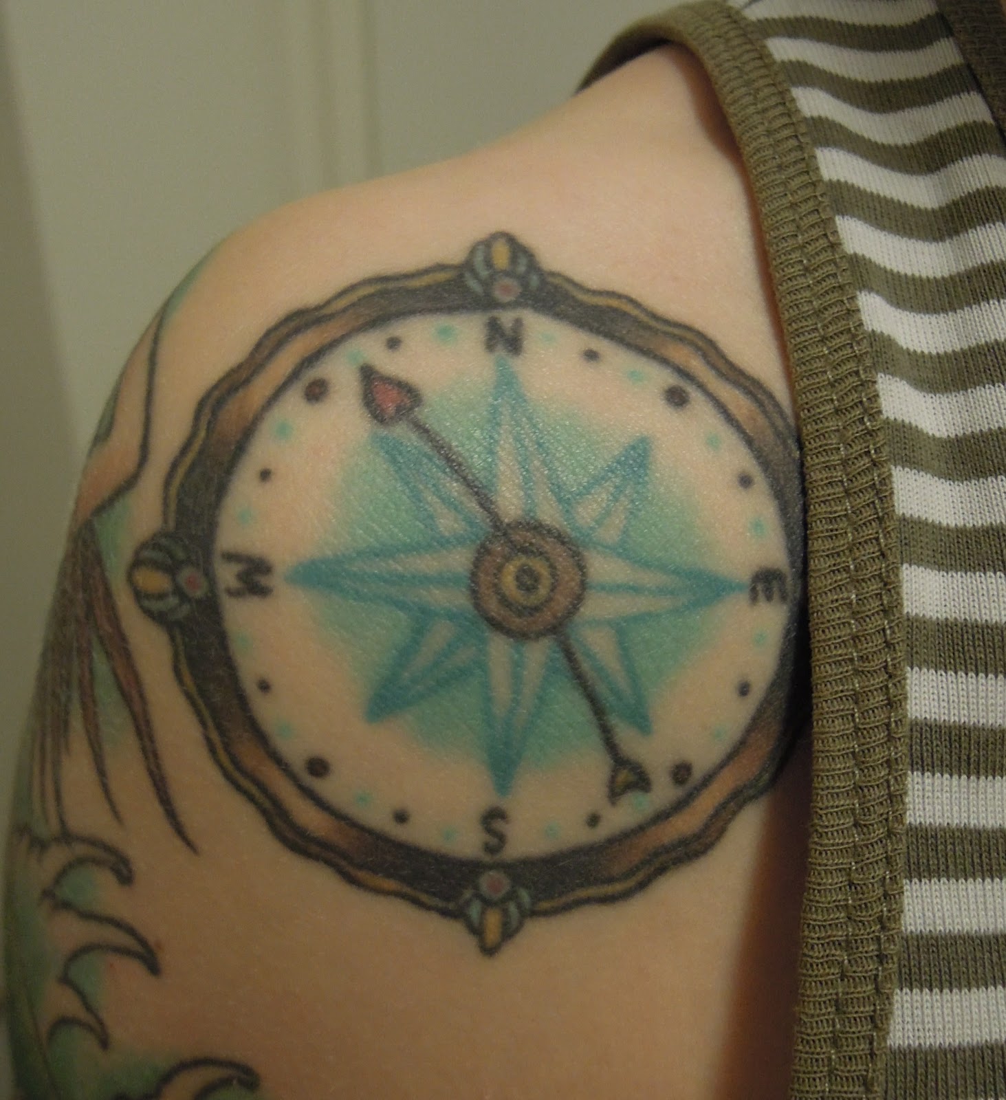 Rahkamuija: Järvikuvakirja - eli tatuointeja