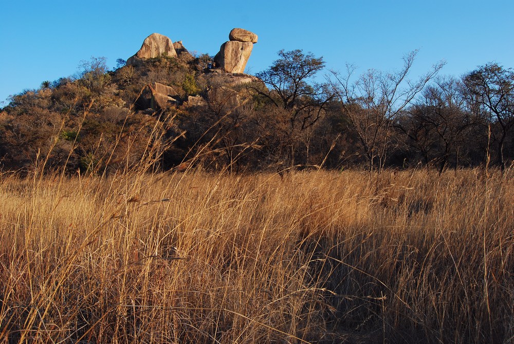 Zimbabwe - Parc national de Matopos, le sanctuaire du rhino blanc - Les ...