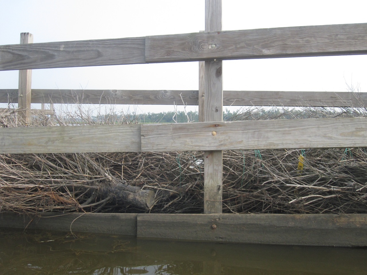 6 Generations: A Morning Paddle and a Lesson in Marsh Preservation