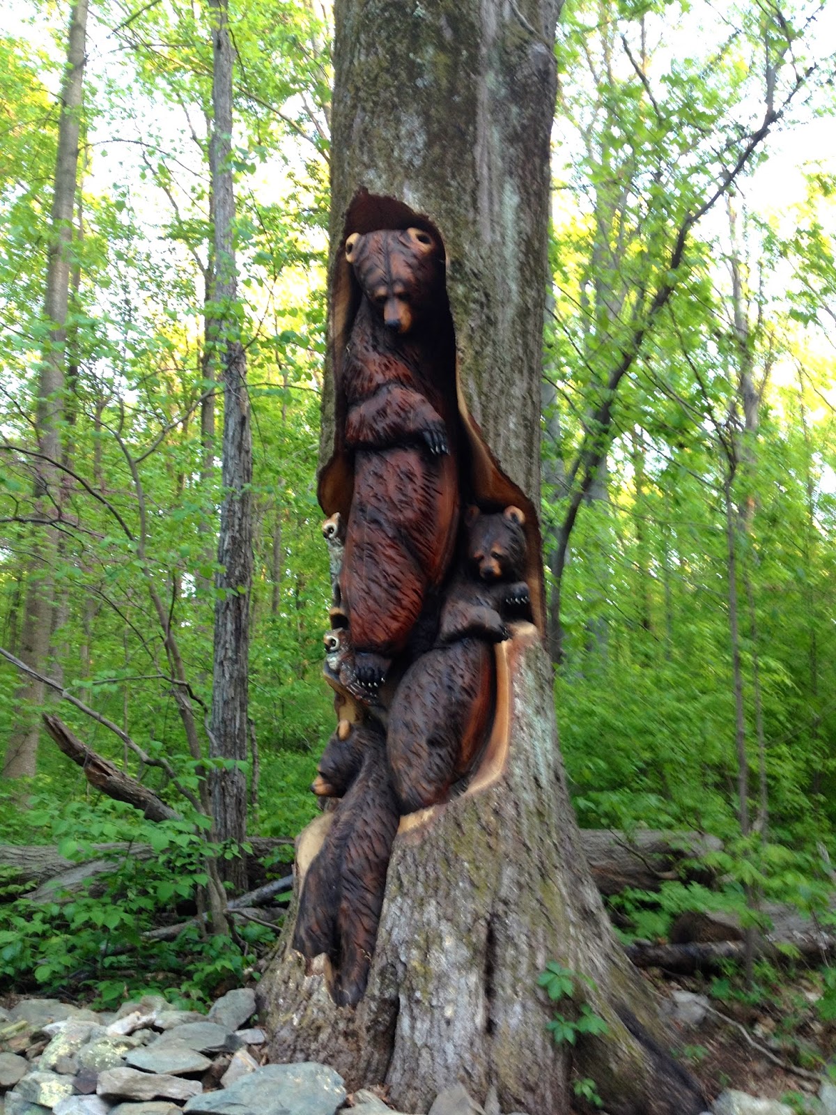 Getting Out of D.C. (Day Trips): Evening Hike at Bears Den