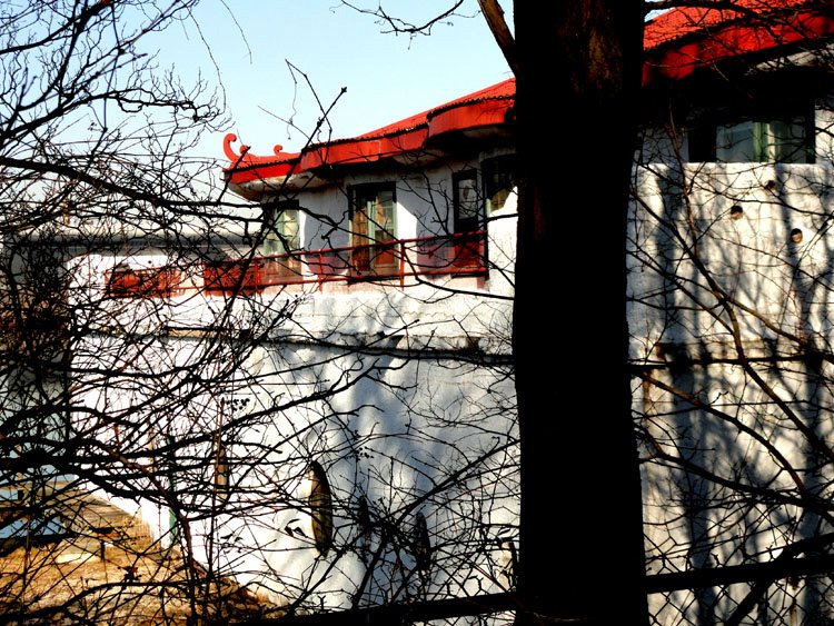 RETRO KIMMER'S BLOG: HARRY BENNETT PHOTO COLLECTION