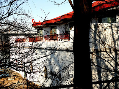 RETRO KIMMER'S BLOG: HARRY BENNETT PHOTO COLLECTION