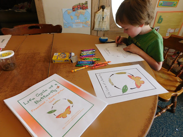 Tots and Me... Growing Up Together: Enhancing the Learning in Our ...