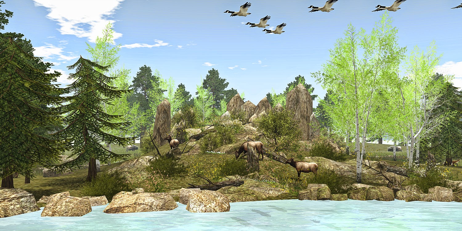 The Pines at Jacobs Pond - Spring | вιтαcorα vιαjerα тrαvel вloɢ