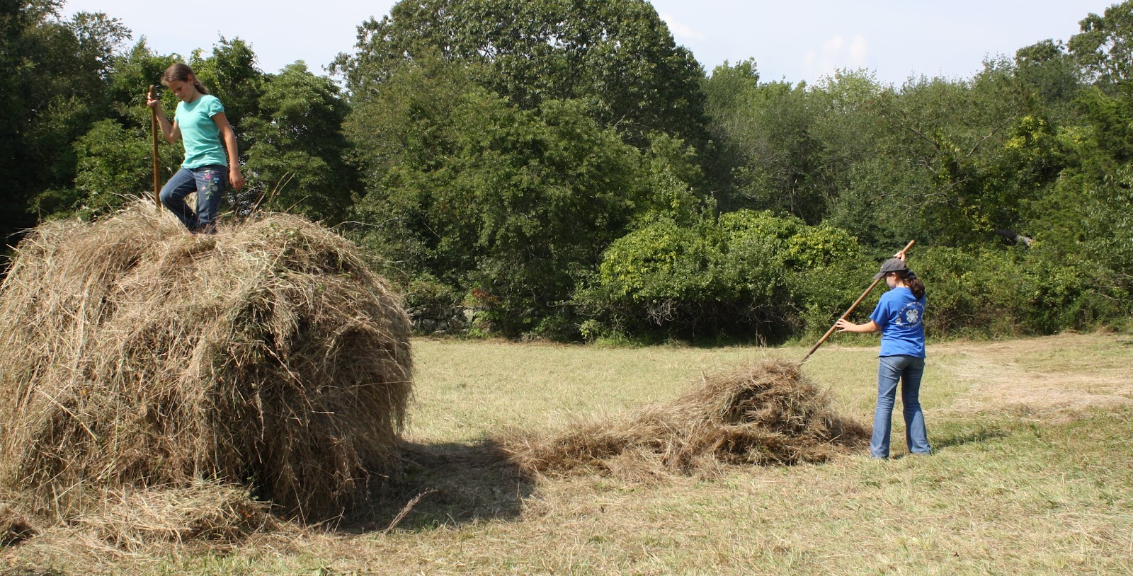 Movin' Like a Herd of Turtles: Making Hay 2012