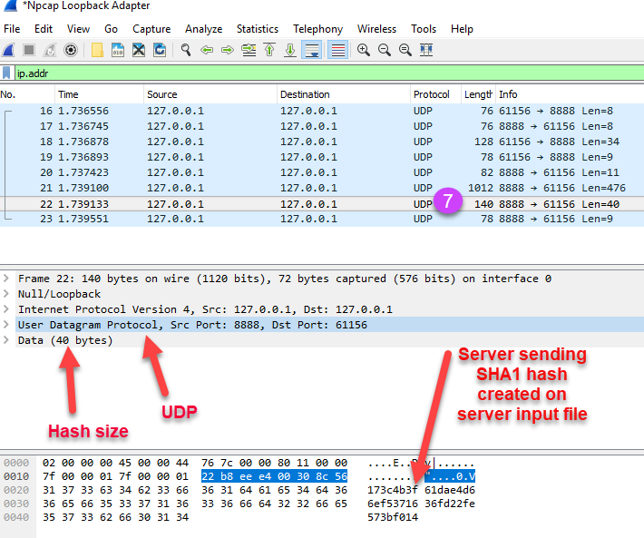 UDP Socket Programming
