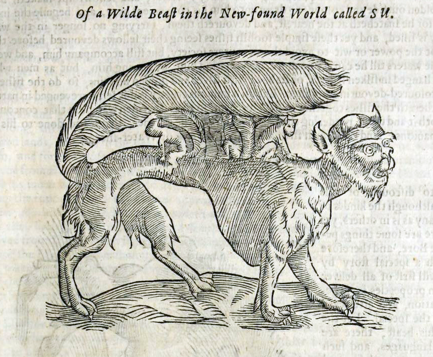 Black and White: Mythical S