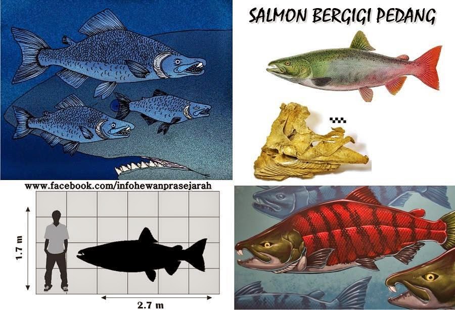 Info Hewan Prasejarah