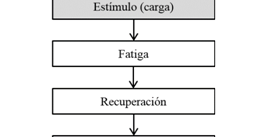 ¿Qué es carga, carga de entrenamiento y sus diferentes componentes?