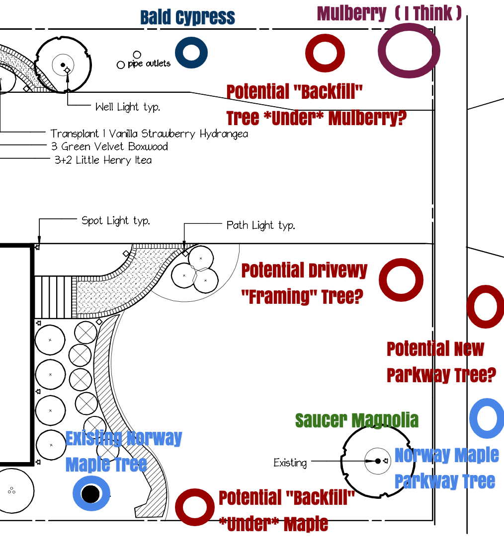 Front Yard And Parkway Tree Planning - 2019/2020