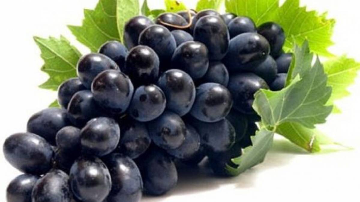 15 Manfaat Anggur Hitam Bagi Kesehatan Kita | Health and Hope