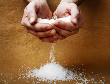 Father Mark Collins's Blog: Saltiness: Sermon for Year B, Proper 21