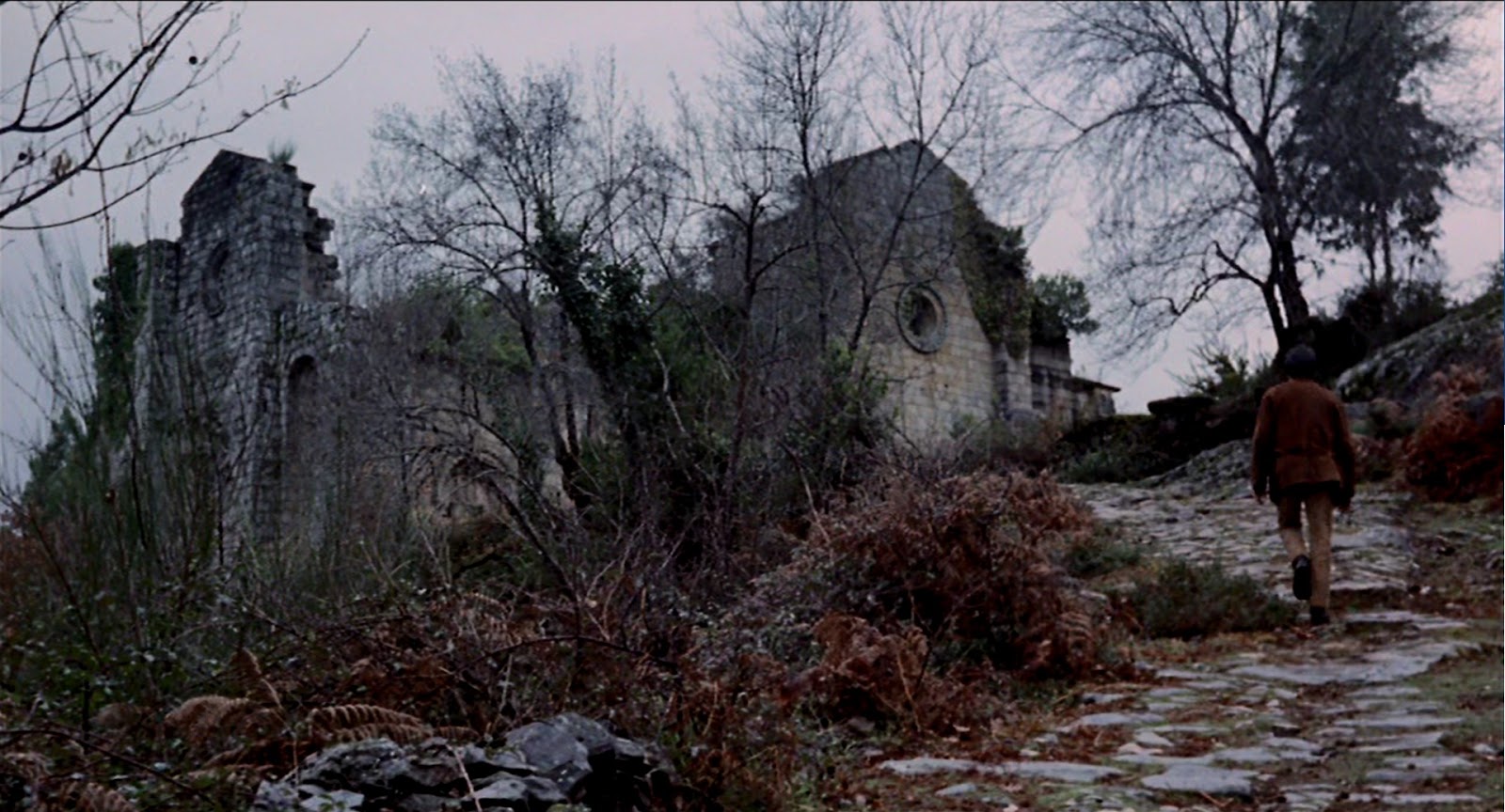 Blood Spattered Bride 1972 (Facts, Review of Vicente Aranda's Film ...