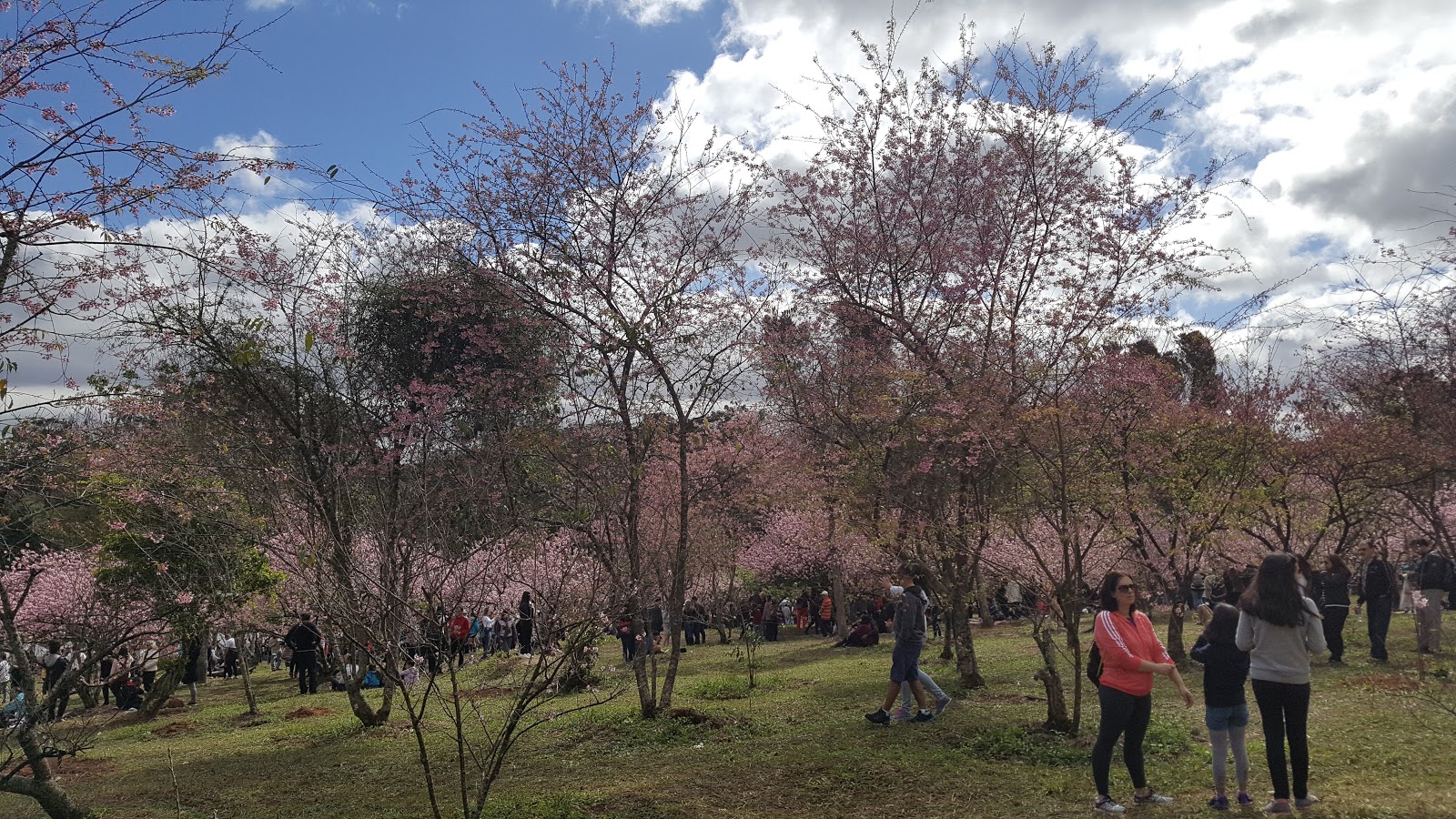 Parques de São Paulo: Parque do Carmo