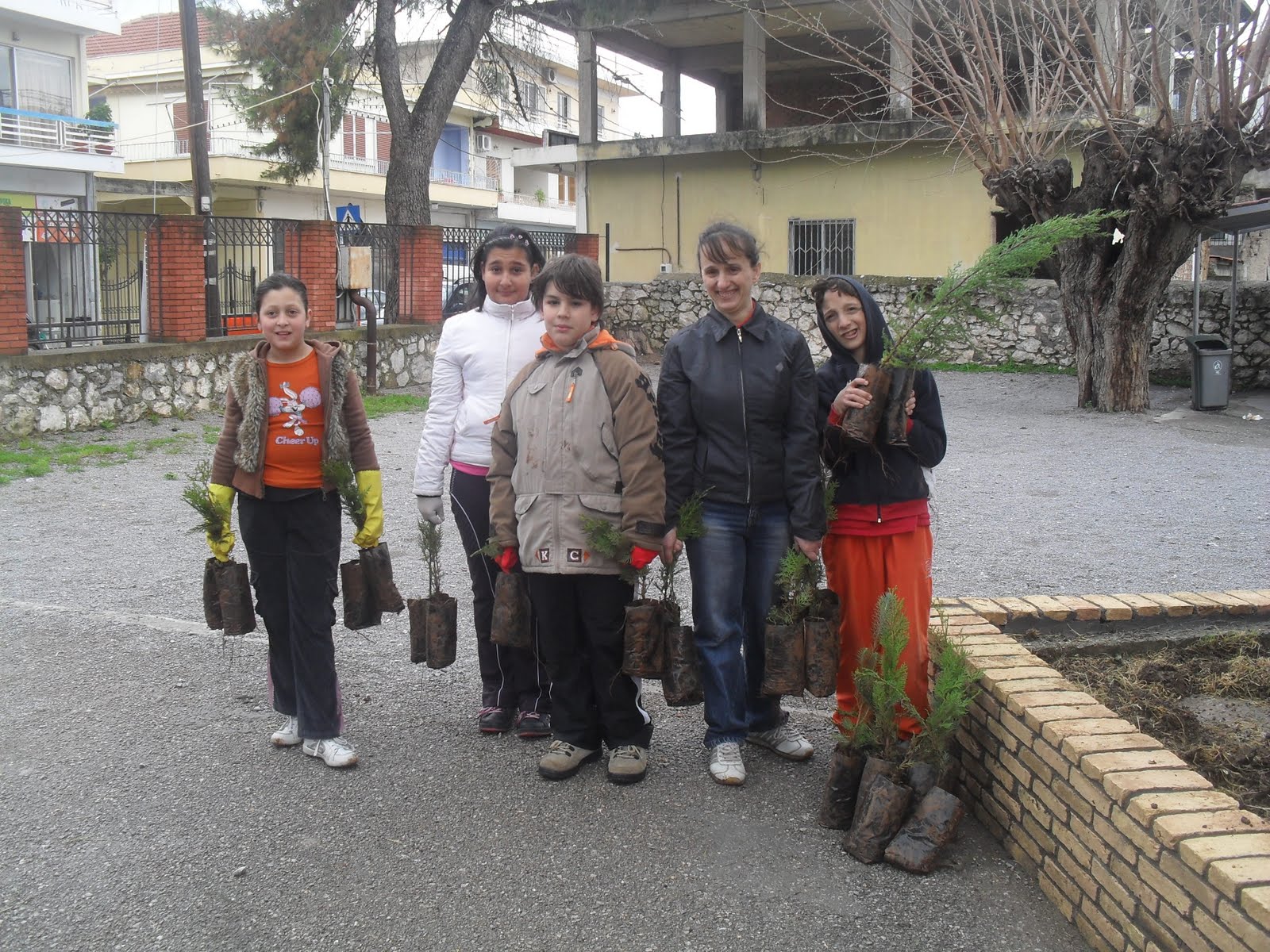 ΤΑ ΝΕΑ ΤΟΥ ΟΡΧΟΜΕΝΟΥ: Δενδροφύτευση στο 1ο Δημοτικό Σχολείο Ορχομενού.