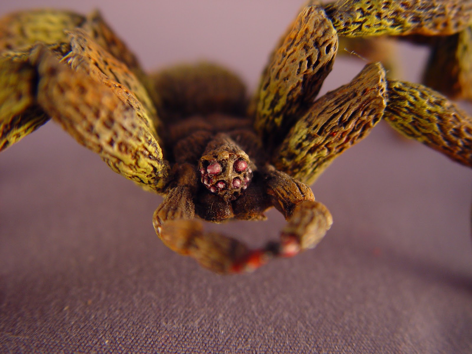 Little Men: Citadel 25mm C29 Gigantic Spider