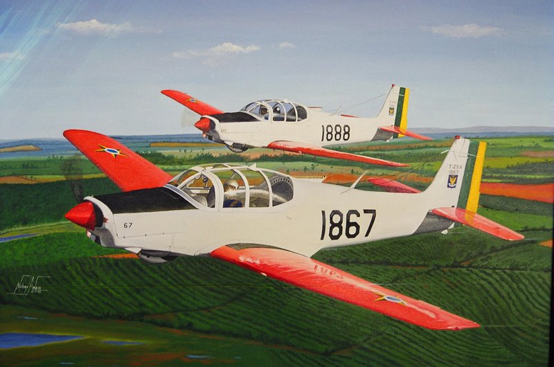 NELSON ANAYA - A ARTE AERONÁUTICA