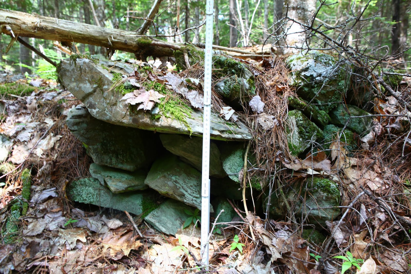 Hirundo Wildlife Refuge: Hirundo Stone Structures