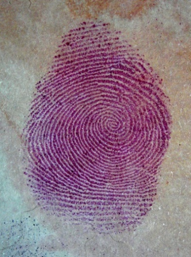 Forensics: Forensic Project Part I: Fingerprinting