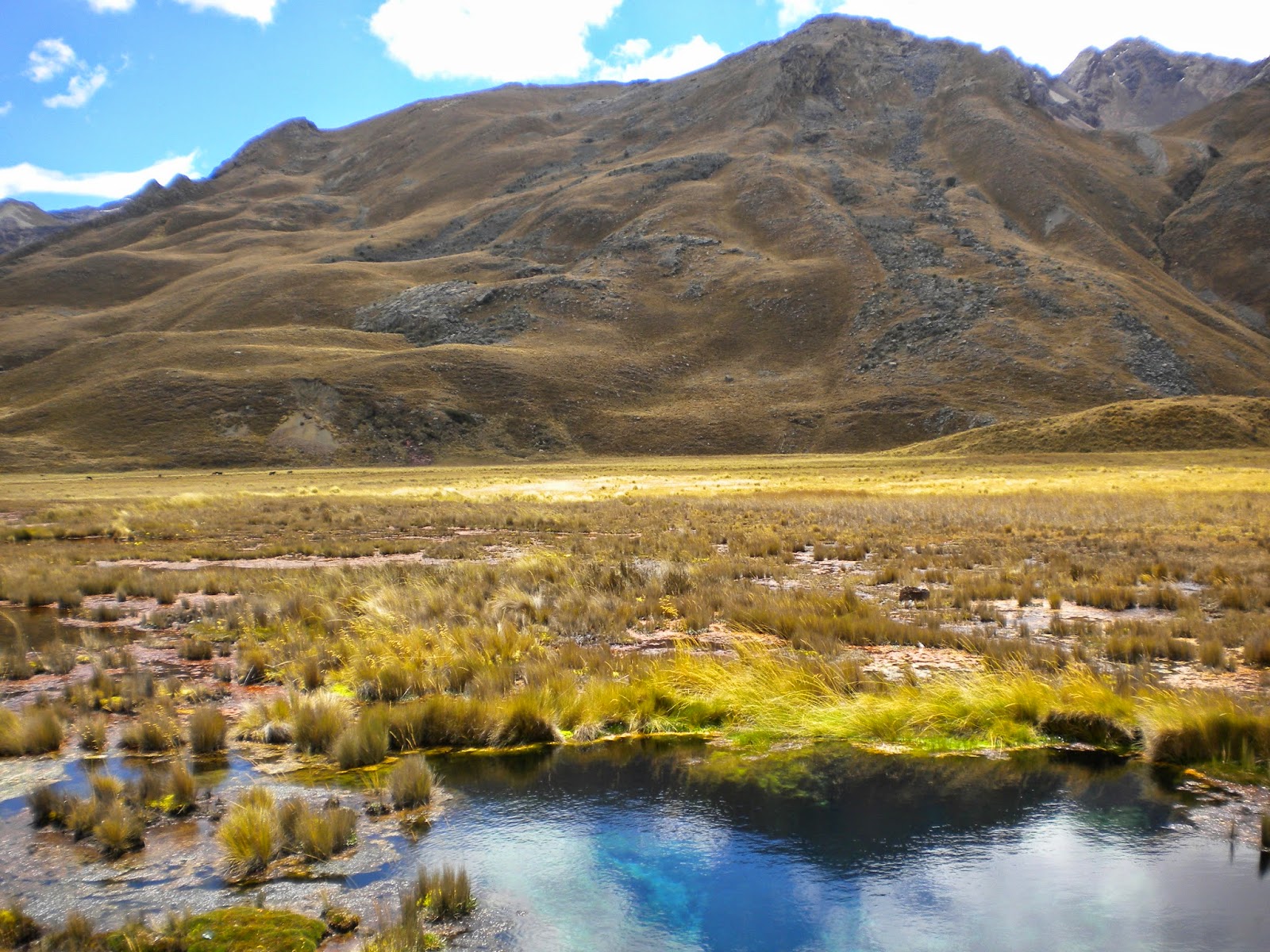 Diarios de Mochiletas: Excursión al Nevado Pastoruri