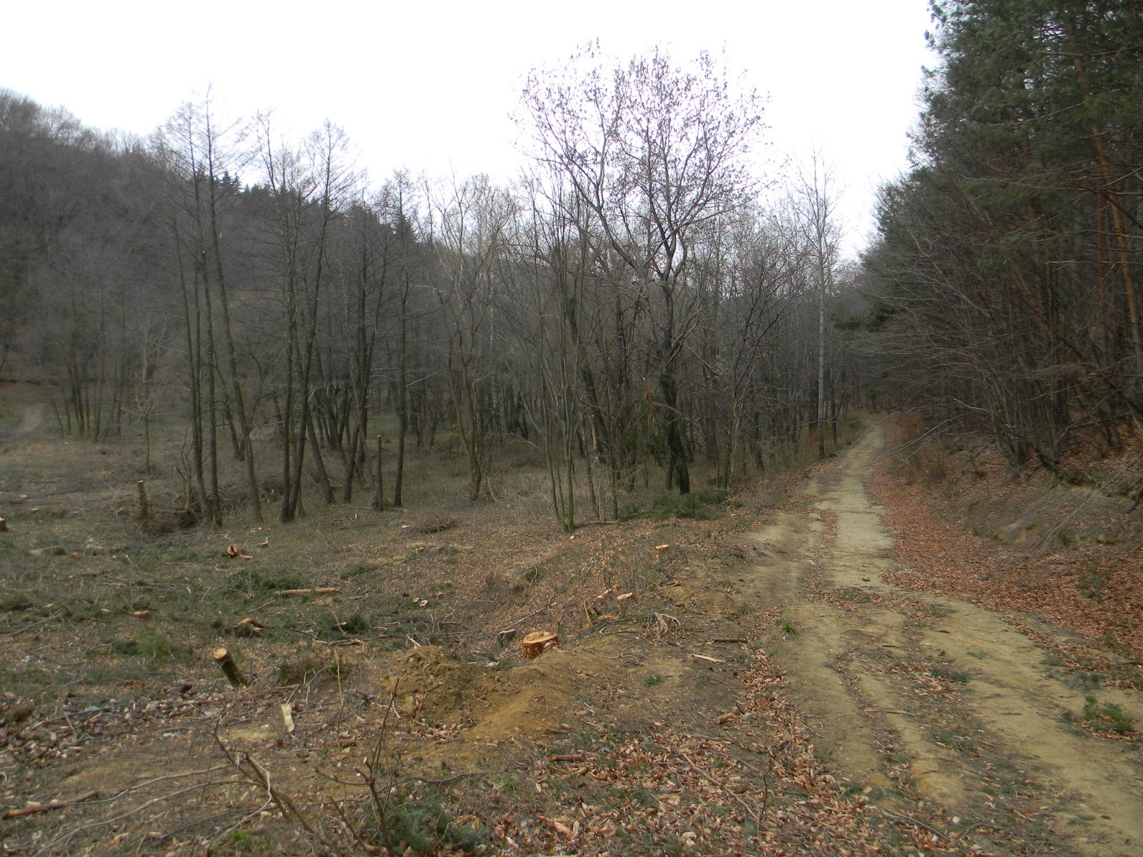 Blog de Calatorii si Drumetii Montane.: Lacul de la Codlea ,jud.Brasov ...