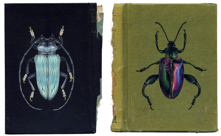JE;SU: Bugs on Books
