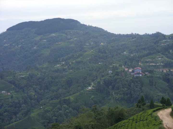Antu Danda: Antu Danda-Ilam