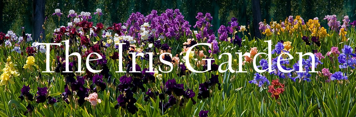 New Zealand Iris Grower 'The Iris Garden ' ~ HERITAGE IRISES