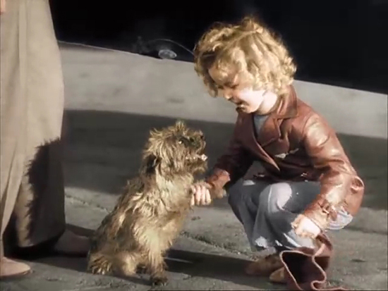 4 vezes Terry, o Totó