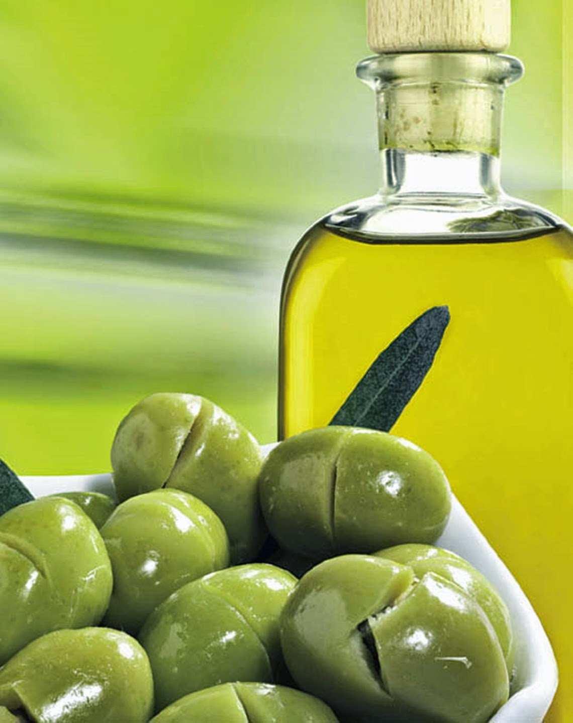 A Letra de um Alentejo: Bom Dia Alentejo, Capital do Azeite, a terra de ...