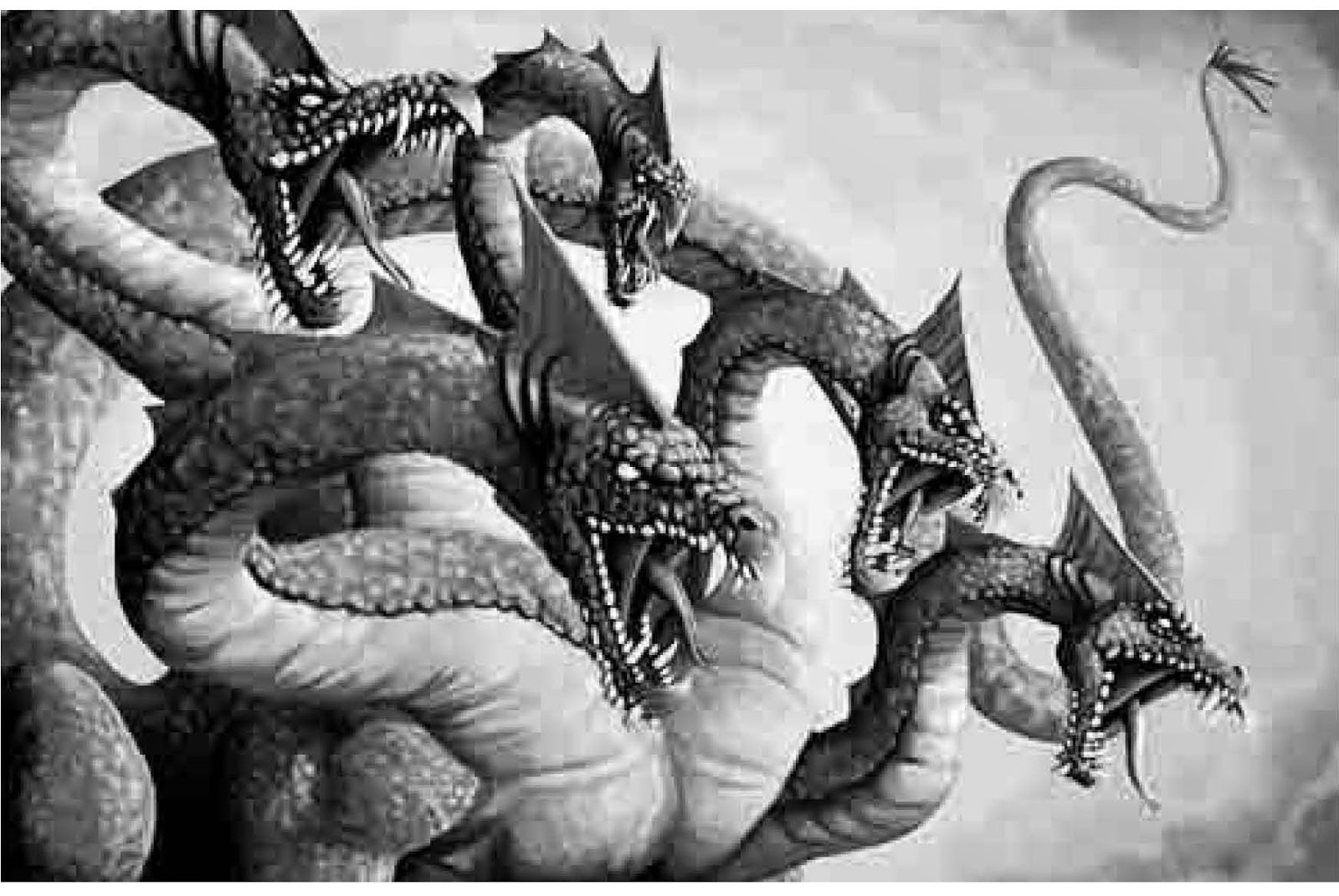 Assemblea Popolare NO ELCON: IDRA