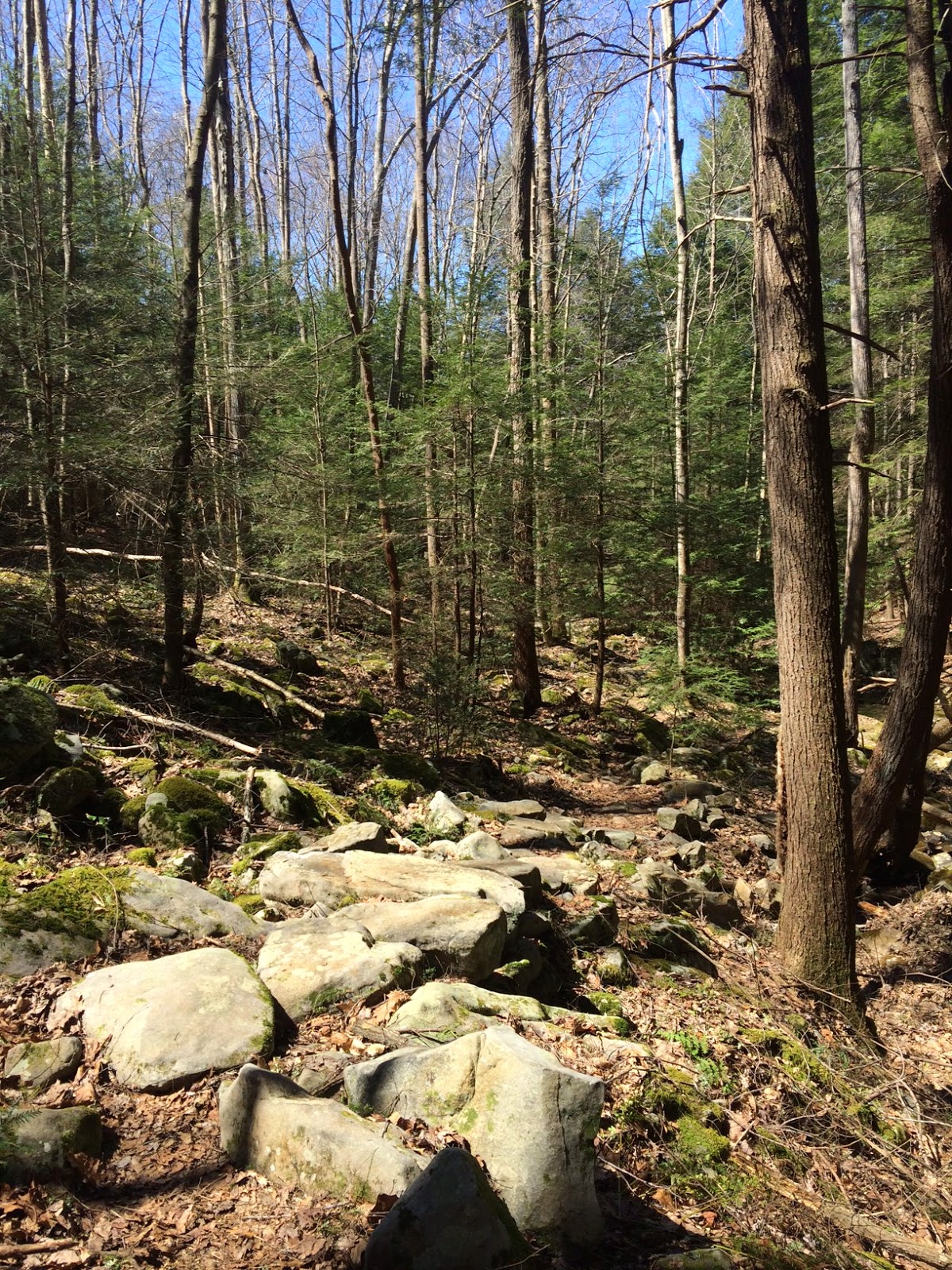 Certified Rollers: Race Recap: Rock/Creek River Gorge