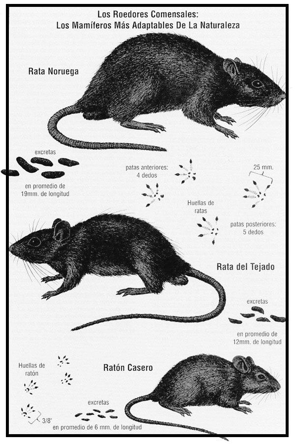 Aportaciones de Grupo SIMM