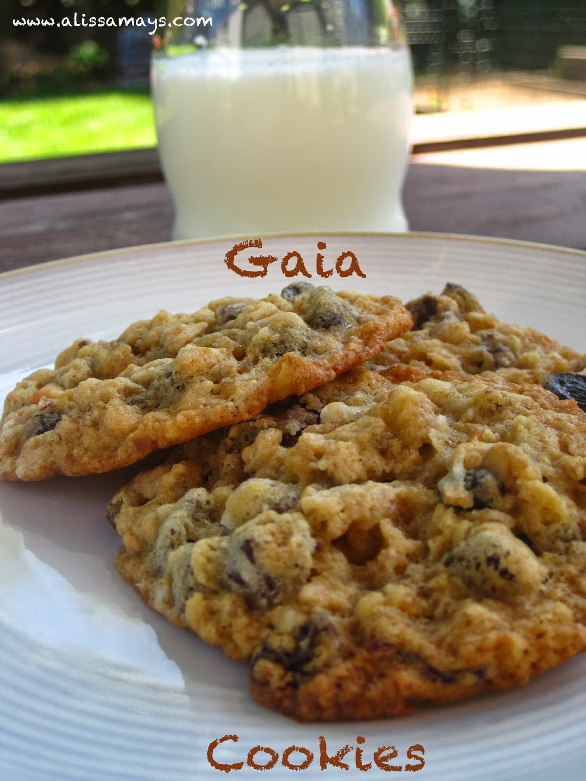 Alissamay's: Gaia Cookies