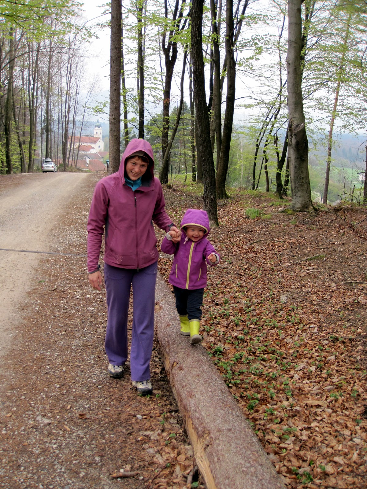 razgRAJAMO OKOLI: Smlednik, Stari grad