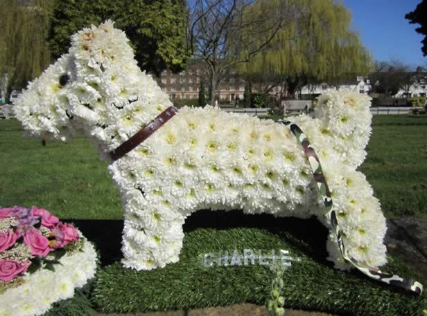 Superbacán: Al ver el arreglo florar, nos damos cuenta de qué era lo ...