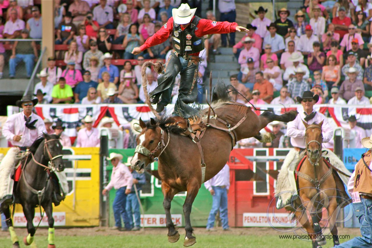 The Pendleton Round Up. Let’er Buck. Bronco riding – Praise Photography