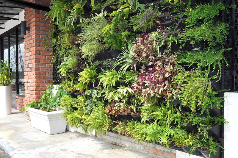 Jasa pembuatan taman vertikal / Taman dinding di madiun