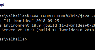 Inspired by Actual Events: Project Valhalla: A First Look at L-World Value Types