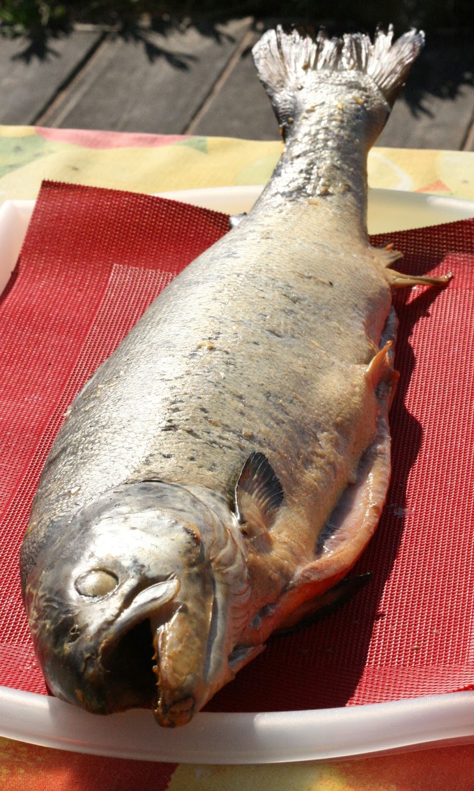Aprendiendo a Cocinar: APRENDIENDO A AHUMAR SALMÓN DE MANERA ...
