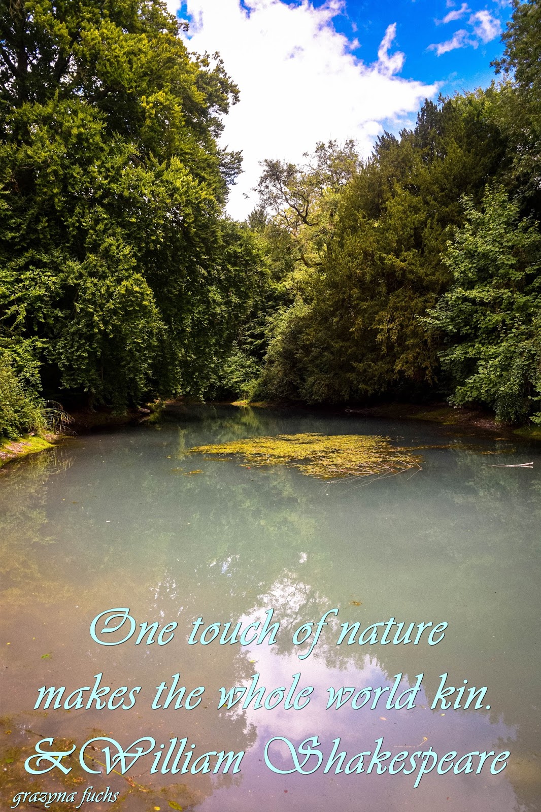 Enjoy your time with beautiful places: QUOTES