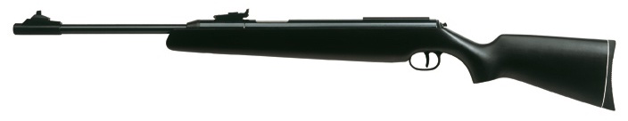 RWS Model 54 Airgun