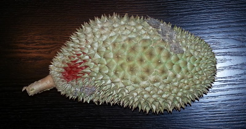 Durianlicious: D2 Durian