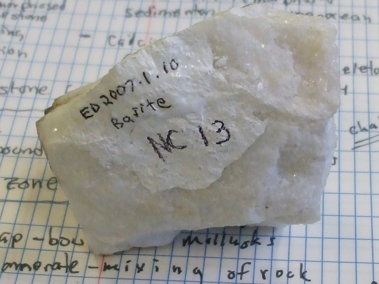 Eggs Come From The Store?: Exotic Carolina Terrane