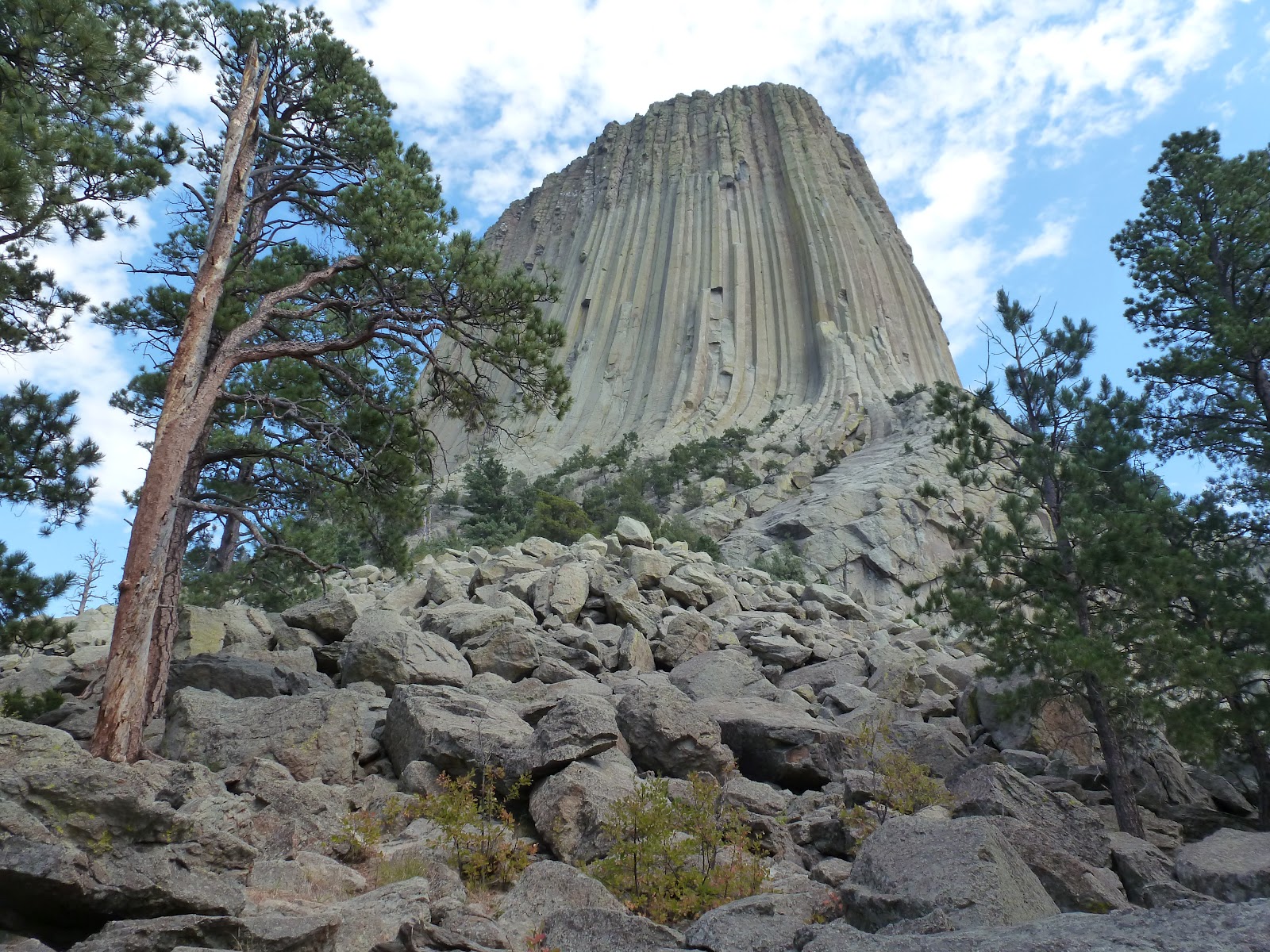 TREKING WITH CAROLYN & JIM: Day 8 - Custer State Park to Wyoming