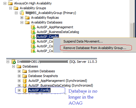 Radimaging Ltd - Paul Beck's Technical Working Notes for Microsoft ...